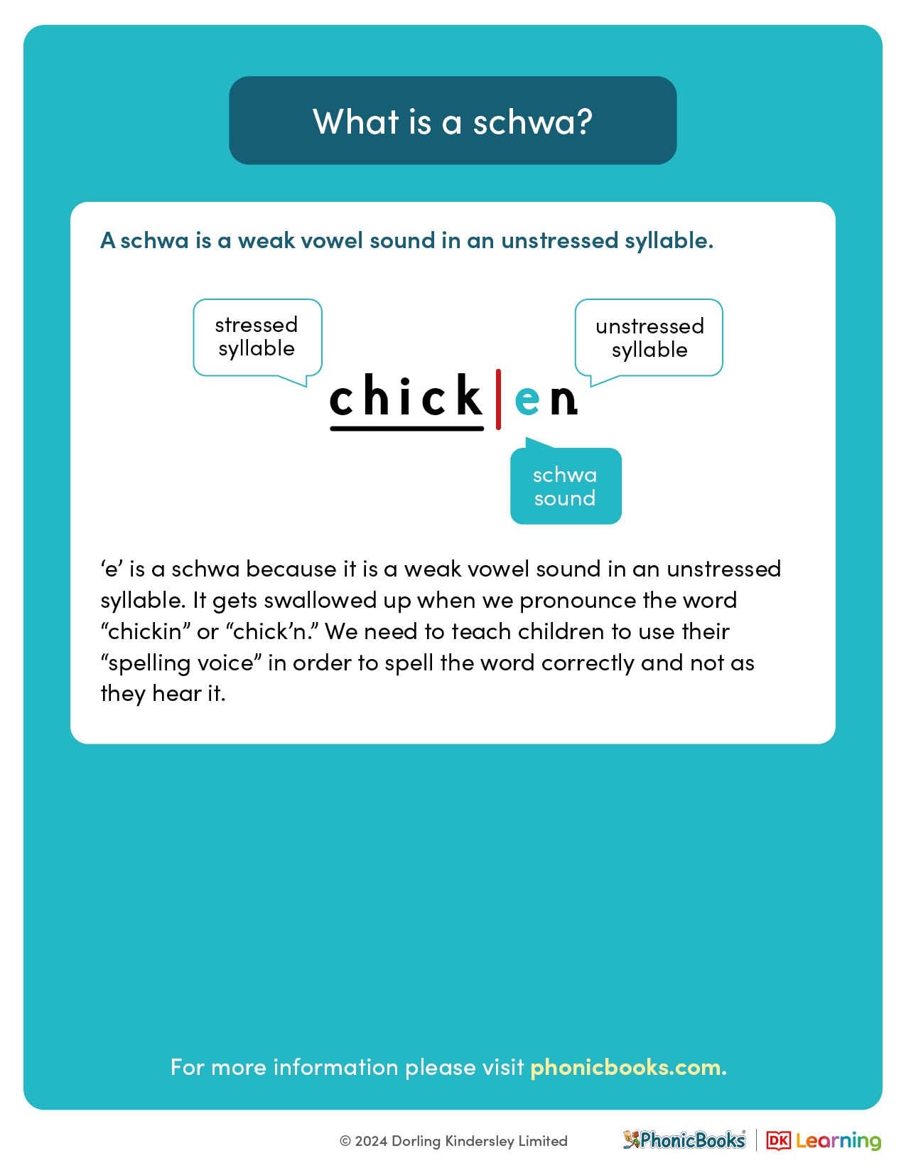 Phonics explained: What is a schwa? – Phonic Books US