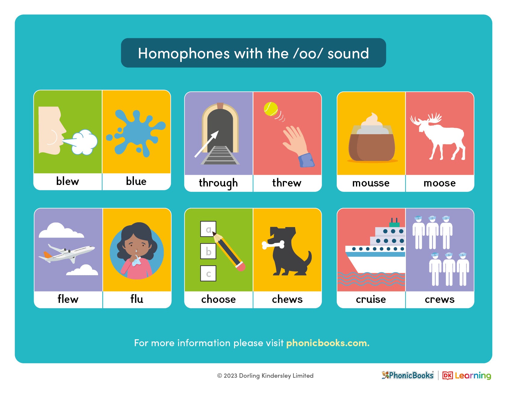 Homophones with the /oo/ sound – Phonic Books US